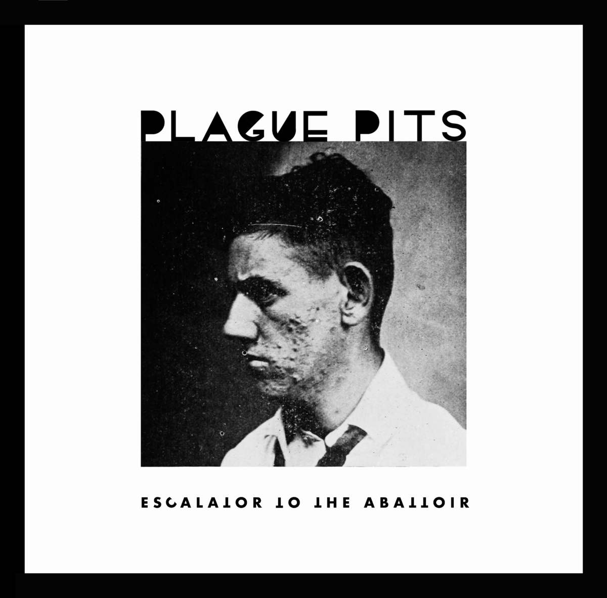 Plague Pits « Escalator to the Abattoir » (YOUNG & COLD RECORDS, 2 mai ...